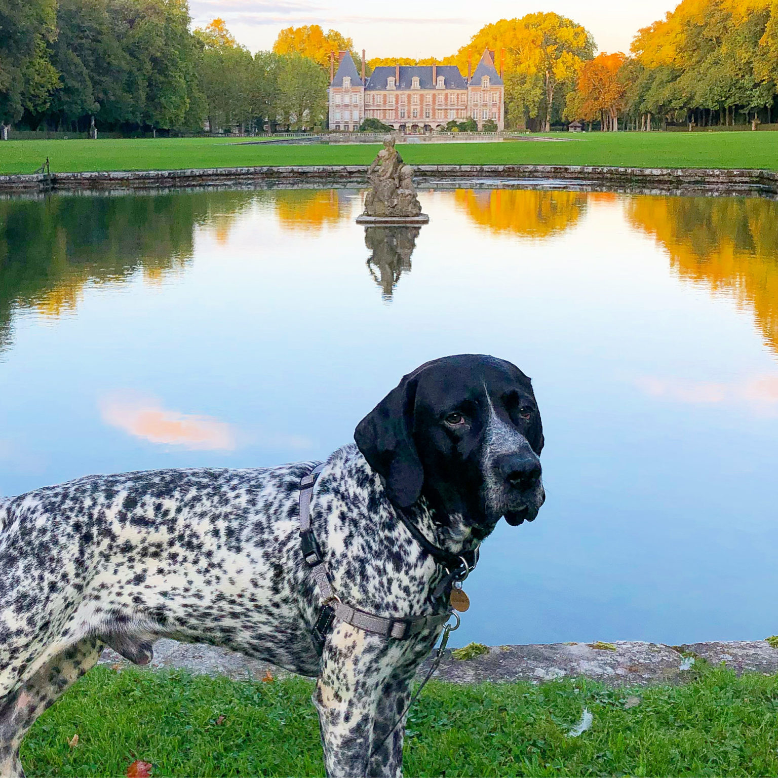 Fall in France ~ Top 5 Ways to Enjoy This Rich French Season - French ...